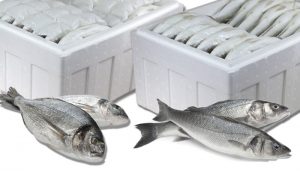 Blue Island – Fresh Fish Cyprus