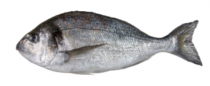 Frozen Sea Bream – Blue Island